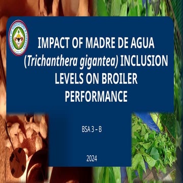 BSA3B Thesis Presentation for AS 202 (1).pptx