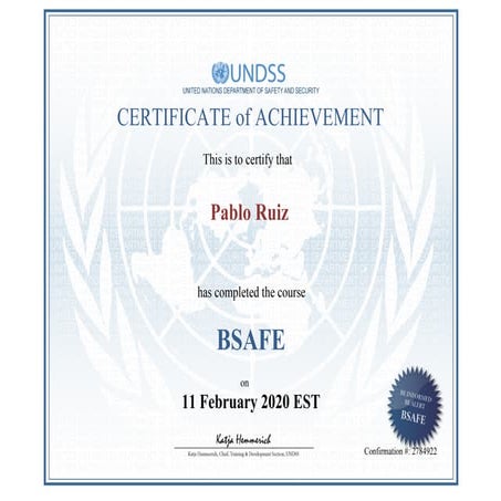 Bsafe Certificate - World Health Organization - Pablo Ruiz Amo | PDF