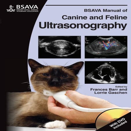 Rkvy radiographic positioning of dog | PPTX