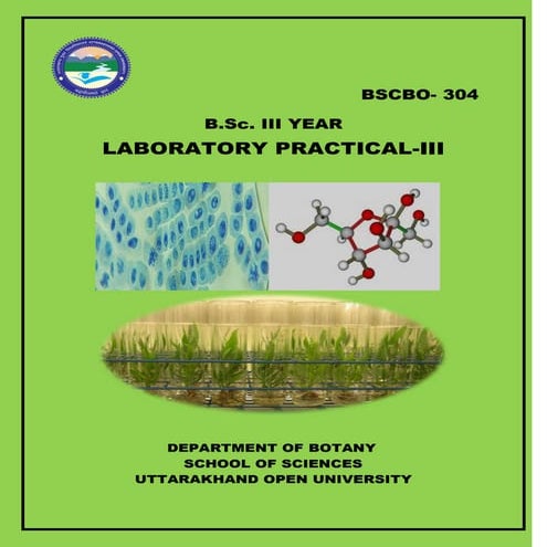 Bsc bio practical file for 3rd year bachelor of science | PDF