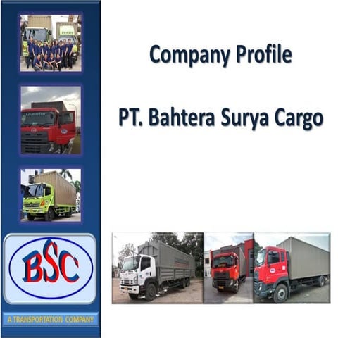 Common rail diesel fuel systems | PDF