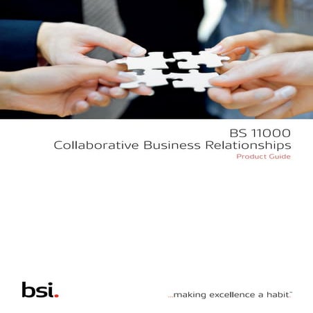 Bsi bs11000-product-guide | PDF