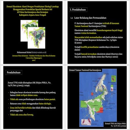 Bsm2008 M Helmi | PDF