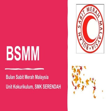 BSMM-PERANCANGAN TAHUNAN.pptx
