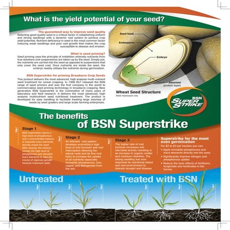 BSN Superstrike Flyer | PDF
