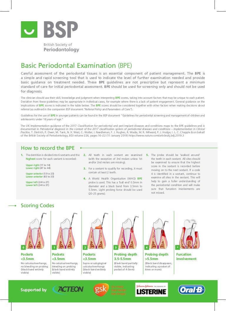 Bsp Bpe Guidelines 2019 bsp-bpe-guidelines-2019