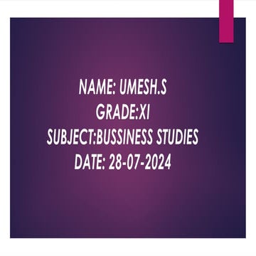 bs project on public and private companies.pptx