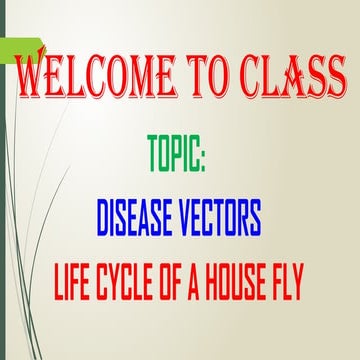 Basic Sciences; Life Cycle of House fly and Cockroach | PPTX