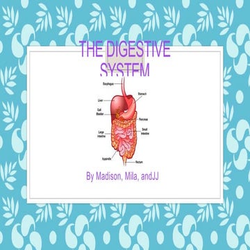 Digestive system Lesson for Grade 6 students.pdf