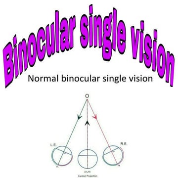 Binocular Single Vision.pptx
