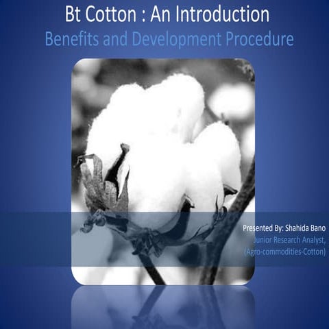 Bt Cotton | PPT