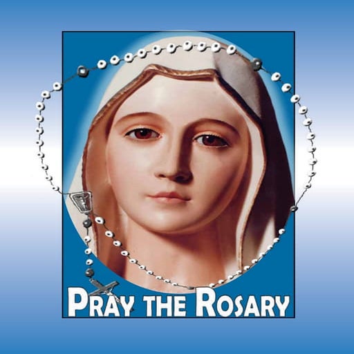 The Guide on how to pray the rosary and the mysteries.pdf