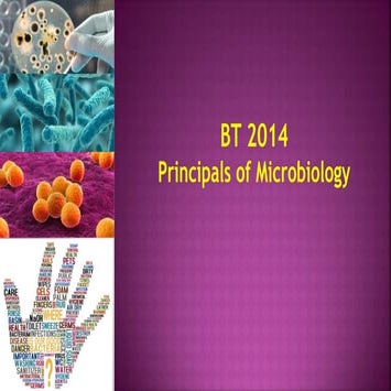Microbiology Fundamentals | PPT