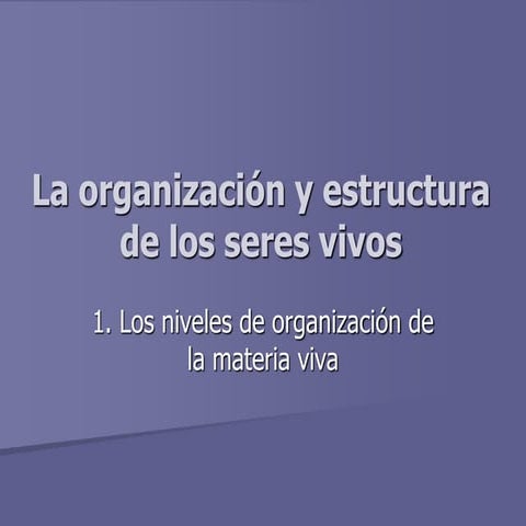 BT4.1-Niveles_organizacion.ppt
