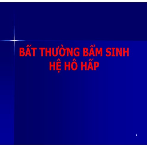 Radiology in Congenital Pulmonary Diseases - HCM UMP | PDF