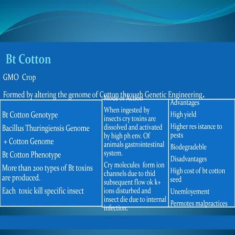 Bt Cotton.pptx