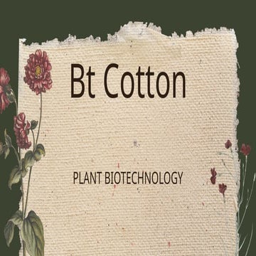 Bt cotton | PPTX