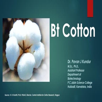 Bt cotton