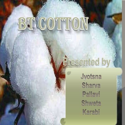 Bt cotton presentation12 | PPT
