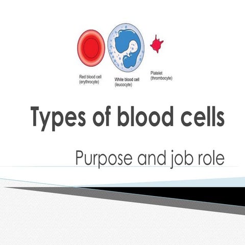 BTEC B2.-Type.structure-of-blood-cells.pptx