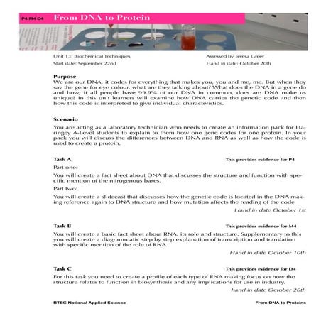 Btec National Unit 13 From Dna To Protein | PDF