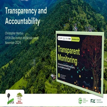 Transparency and Accountability | PDF