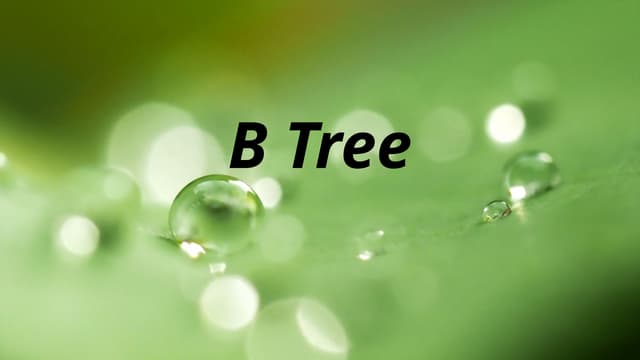 Data structures trees - B Tree & B+Tree.pptx
