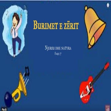 Burimet e zërit | PDF