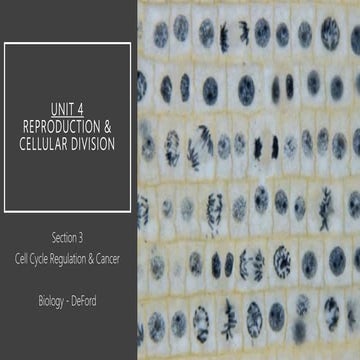 BU4.3 Cell Cycle Regulation & Cancer | PPT