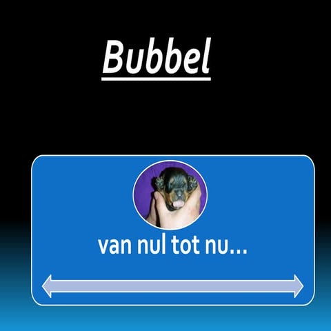 Bubbel van nul tot nu | PPSX