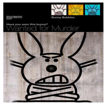 Bubbles Wanted Poster | PDF