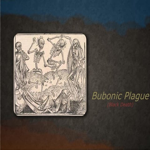 Bubonic plague | PPT