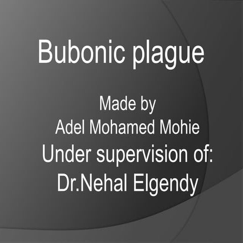 Bubonic plague | PPT