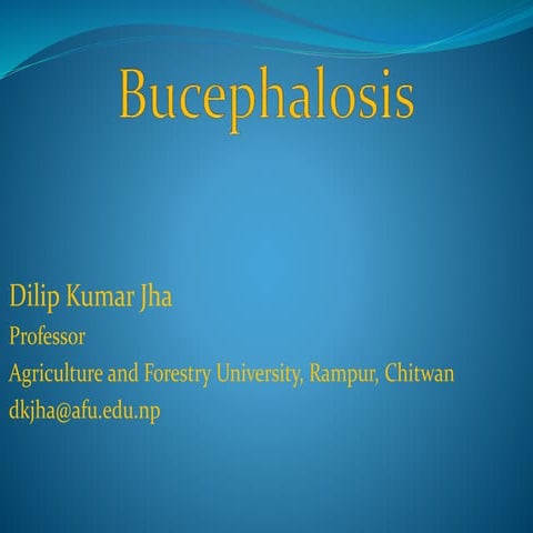 Bucephalosis.pdf