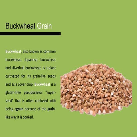 Buckwheat grain nutrition facts | PDF
