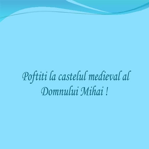 Bucur Raluca Maria - BM Fagaras | PPT