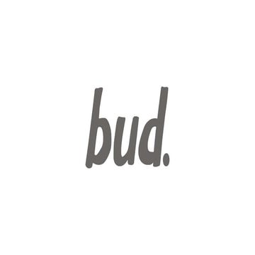 Bud public presenation | PDF | Business Banking & Finance | Business