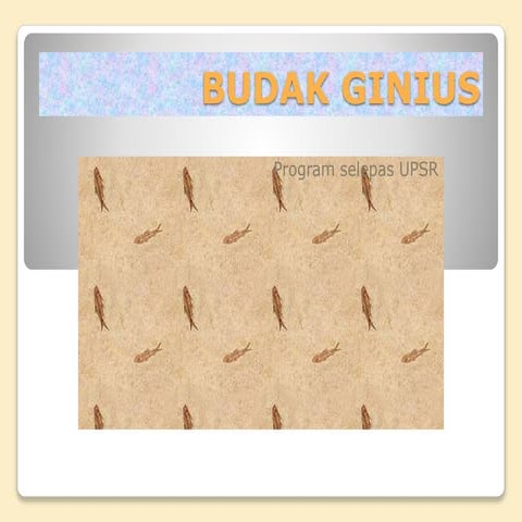 BUDAK GINIUS.pptx
