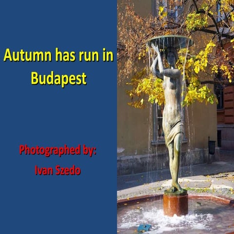 Autumn run into Vienna | PPS