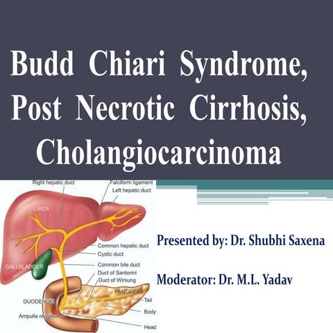 LIVER HISTOPATHOLOGY (Budd chiari syndrome, Cirrohosis ...