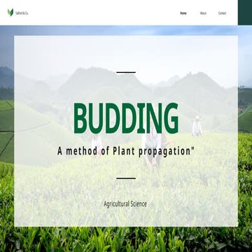 TYPES OF BUDDING | PPTX
