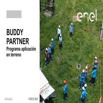 Buddy Partner- Observaciones (EECC) (1).pptx