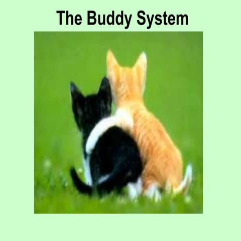 BUDDY SYSTEM | PPT