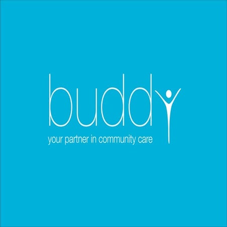 Buddy System August 2011 | PPT