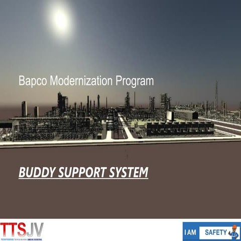 Buddy System BMP HSE Document at Site.pptx