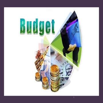 Budget 2019 20 | PPTX