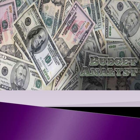 Budget Analyst | PPTX