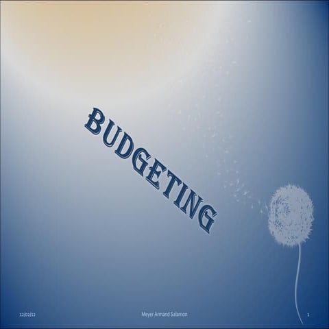 Budgeting | PPT | Business Accounting & Finance | Business
