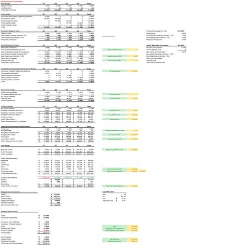 Managerial Accounting Project - Budgeting | XLSX