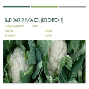 BUDIDAYA BUNGA KOLLLLLLLLLLLLLLLLLLLLLLL | PPTX